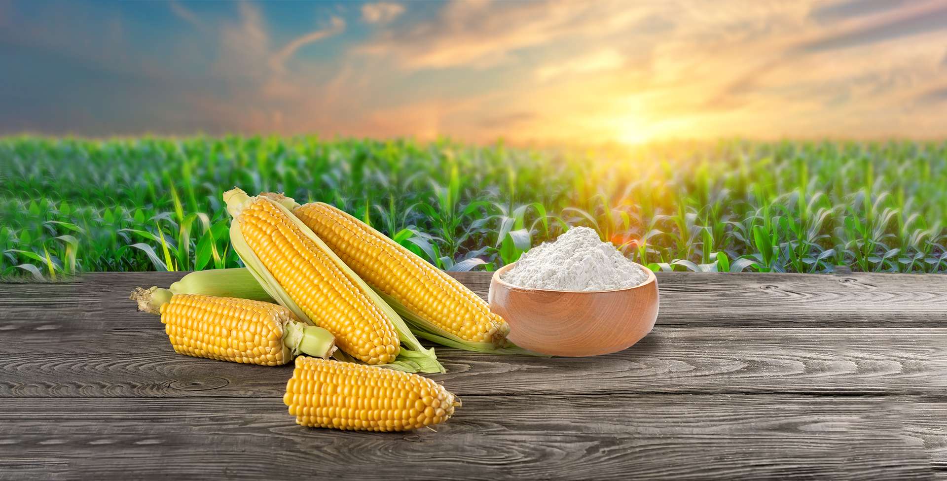 Common Grades of Maize Starch and Their Industrial Relevance - Spac