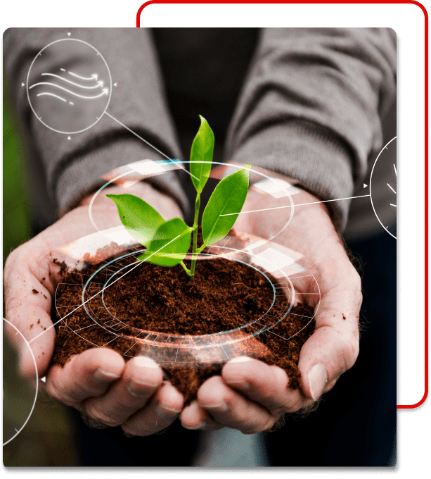 Starch Manufacturer, Supplier and Exporter in India | SPAC Group