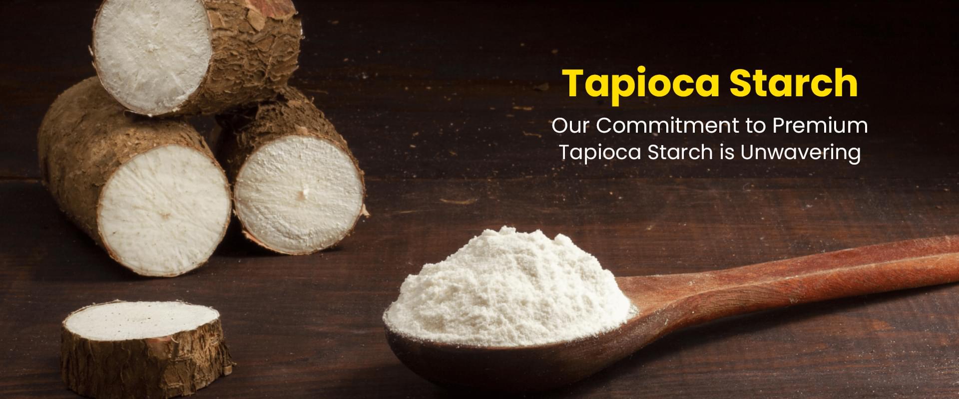 Starch Manufacturer, Supplier and Exporter in India | SPAC Group